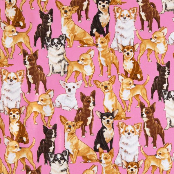 チワワだけを集めました。チワワ好きさんどうぞ、ご購入ください。ピンクGM-C3191 PINK George McCartney for Timeless Treasures Fabrics of SoHo,LLC. &amp;copy; ...