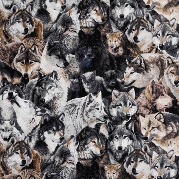 新鮮なデザインのオオカミのデジタルプリント生地をお届けします。直輸入されたプリント生地は、独自なスタイルを手軽に演出できます。手作りの作品に最適な、インスピレーションを与える一枚です。ケイニス・ルーパスCANIS LUPUS 9704MUL...