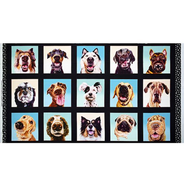 15種類の犬たちの表情豊かなポートレートが並ぶ、ユーモアと温かみあふれるパネル柄。15匹の犬たちが見つめる、癒しと個性のパネル柄。ポーチやタペストリー、額装ファブリックにぴったりの一枚です。各パネルの大きさは横約16.5cm、縦約17cmで...