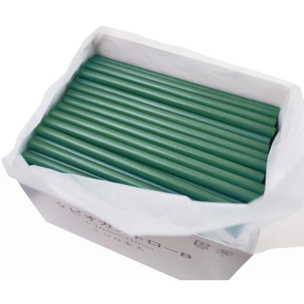 ●サイズ：1×21cm●材質：ポリプロピレン●色：グリーン●原産国：日本●耐熱温度：80℃●入数：250本