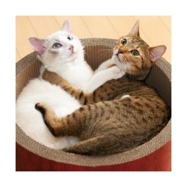 愛猫たちが最高にくつろげるように開発された愛猫専用の爪とぎです。愛猫がすっぽり丸くなってくつろげる、サークル型クラウチングタイプです。内側の爪とぎ素材は、硬質の底面（横目）と軟質の側面（縦目）があります。爪とぎ時の削りカスが飛び散りにくい構...