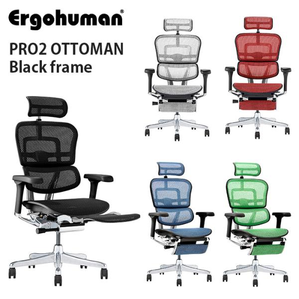 「エルゴヒューマンPRO2オットマン」耐久性が高く高級感のあるアルミポリッシュフレームを贅沢に使用したエルゴヒューマンプロ。バランスのよい躯体に磨き上げられたポリッシュフレームがワンランク上の空間をつくりだします。●ハイブリッドレバー座面昇...