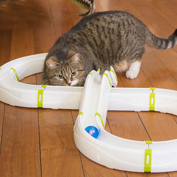 イタリアferplast社製。遊びは猫ちゃんの狩猟本能を満たし、体の健康維持をサポートしてくれる大切な手段です。8の字のレール中に光るボールを入れて遊びます。猫パンチでレールの中をボールが回ります。猫ちゃんは大喜びし、夢中で遊んでくれるでし...