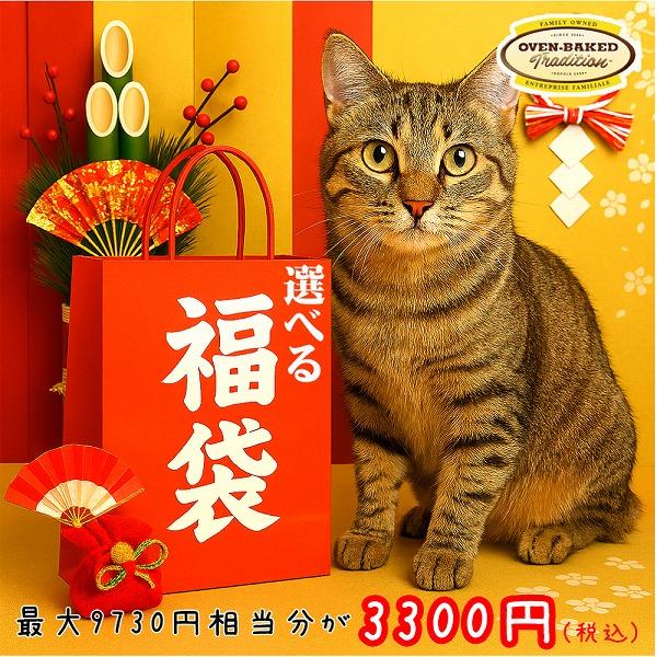 お得な福袋セット♪中身が分かる福袋です！中身の詳細は画像をご確認ください。かなりお得な内容になっておりますので、お一人様1個までとなります。※こちらの商品は返品不可です。