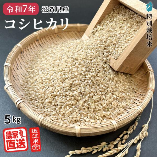 減農薬・減化学肥料で育てた特別栽培米。日本各地で栽培されていますが、その中でも近江産のコシヒカリは炊き上がりの艶が良く、歯ごたえがあり非常に食感が良いと大評判です。冷めてもおいしいお米ですので、おにぎり、お弁当にピッタリです。産地・・・滋賀...
