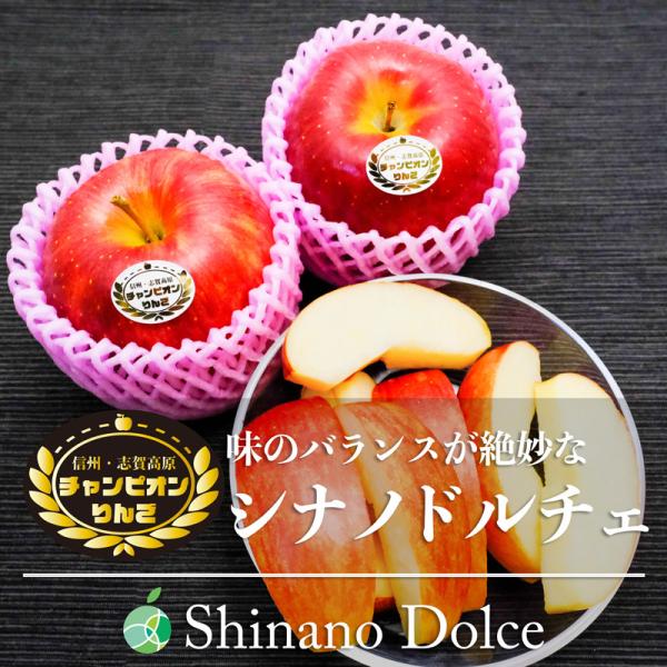 【発売日：2026年09月10日】長野県の志賀高原で育ったシナノドルチェです。高原特有の昼夜の寒暖差と清らかな水は、色づきがよく身のしまったおいしいりんごを育てます。生産者は、全国規模のコンテストや地域の品評会で何度も受賞しているりんご作り...