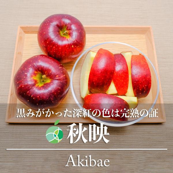 秋映（あきばえ）は、千秋（せんしゅう）とつがるを交配して誕生した長野県生まれのりんごで、1993（平成5）年に品種登録されました。同じく長野県のオリジナル品種である、シナノスイート、シナノゴールドと共に「りんご三兄弟」と呼ばれています（ちな...