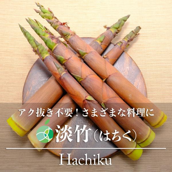 やわらかくて、ほんのり甘い――「えぐみがなくて食べやすい！」と毎年人気の淡竹（はちく）は、春の終わりから初夏にかけての短い間だけ楽しめる旬の味覚です。一般的なタケノコ（孟宗竹）が終わる頃に出回り始め、アク抜き不要で調理がラクなのも嬉しいポイ...