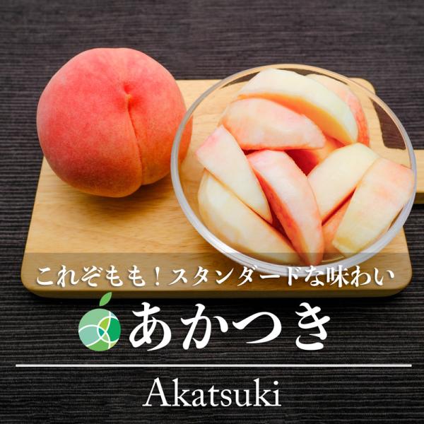 あかつきは、白桃と白鳳を交配して誕生した神奈川県平塚市生まれのももで、1979（昭和54）年に品種登録されました。ももの中でも代表的な品種として知られています。果皮の地色は白色で、太陽の光を浴びた部分が赤色に染まります。ややクリーム色で赤味...