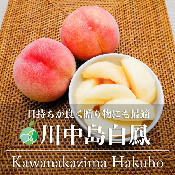 戦国時代の「川中島の合戦」で知られる長野県長野市川中島は、犀川と千曲川に囲まれた水はけの良い肥沃な土地で、ももの栽培に適した場所です。川中島生まれの川中島白鳳（かわなかじまはくほう）は、甘みが強くしっかりとした食感が特徴で、果汁もたっぷり。...