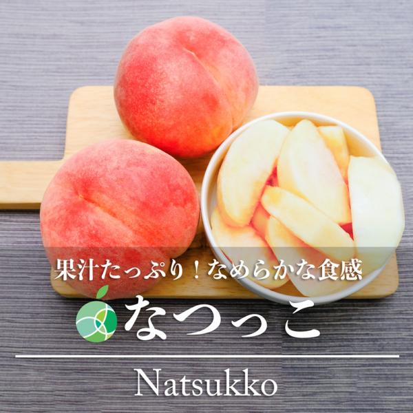 なつっこは、川中島白桃とあかつきを交配して生まれた長野県須坂市生まれのももで、2000（平成12）年に品種登録されました。人気のももである両親の優れた部分を受け継いだ品種です。味は甘みが強く上品な後味です。果汁もたっぷりでなめらかな食感が特...