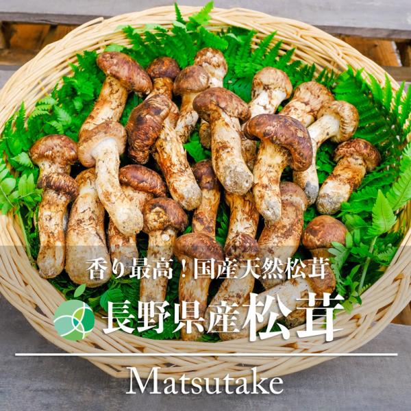 松茸といえば、日本のきのこの最高峰にして秋の味覚の代表格です。最大の特徴はその香り。そして長野県は全国1位の収穫量を誇ります。【サイズについて】その時期に収穫された松茸の中から、品質を確認したうえで発送いたしますので、大きめの松茸が入る場合...