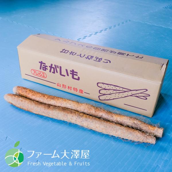 長野県の中部、北アルプスと中央アルプスに挟まれたエリアに位置する山形村は、火山灰土壌を活かした県内随一のながいもの生産地として知られています。ながいもはやまいもの一種で、生で食べられる世界でも珍しい芋です。日本列島では縄文時代から栽培されて...