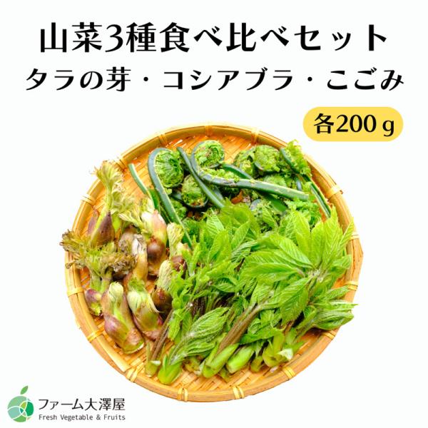 春の味覚を存分に楽しめる、人気の山菜セットです。天然物の山菜は、ハウス栽培品に比べて風味や香りが豊かで、歯ごたえも抜群。旬の味をお楽しみください。◆たらの芽（ウコギ科のタラノキの新芽）風味と香りが強く、歯ごたえも良い天然物のたらの芽。天ぷら...