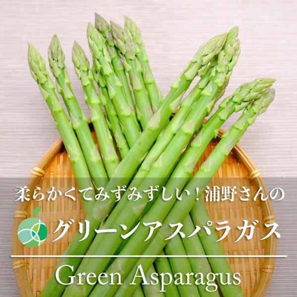 北アルプスや北信州の山々を望む、長野県須坂市は標高約400mに位置します。昼夜の寒暖差が大きく、おいしいグリーンアスパラガスが育つ環境です。この地の生産者・浦野さんの農園には、たくさんのハウスが建ち並び、ていねいに育てられたアスパラガスたち...