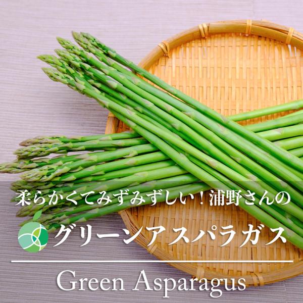 北アルプスや北信州の山々を望む、長野県須坂市は標高約400mに位置します。昼夜の寒暖差が大きく、おいしいグリーンアスパラガスが育つ環境です。この地の生産者・浦野さんの農園には、たくさんのハウスが建ち並び、ていねいに育てられたアスパラガスたち...