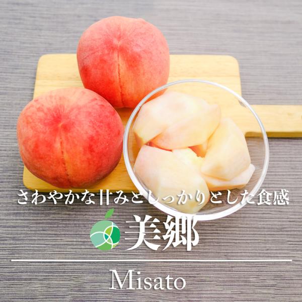 美郷は、日川白鳳と伊達白桃が植えられた畑で偶然発見された、山形県生まれの品種です。7月下旬から8月中旬にかけて収穫期を迎える早生種の桃です。酸味がほとんどなく、さわやかな甘みとしっかりとした食感が特徴で、果汁もたっぷりです。全国的にも栽培数...