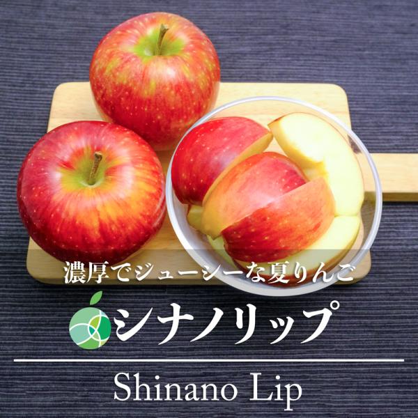 シナノリップは、千秋（せんしゅう）とシナノレッドを交配して誕生した長野県生まれのりんごで、2018（平成30）年に品種登録されました。ほどよい甘みと酸味のバランスが絶妙で濃厚な味わいの夏りんごです。シャキシャキとした歯ごたえのある果肉は果汁...