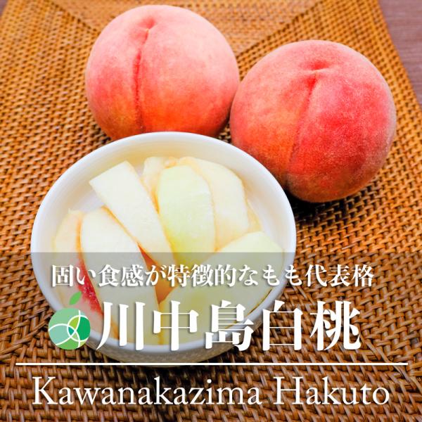 戦国時代の「川中島の合戦」で知られる長野県長野市川中島は、犀川と千曲川に囲まれた水はけの良い肥沃な土地で、ももの栽培に適した場所です。川中島生まれの川中島白桃（かわなかじまはくとう）は、歯ごたえがあり固いももが好きな方にオススメ。果肉は白く...
