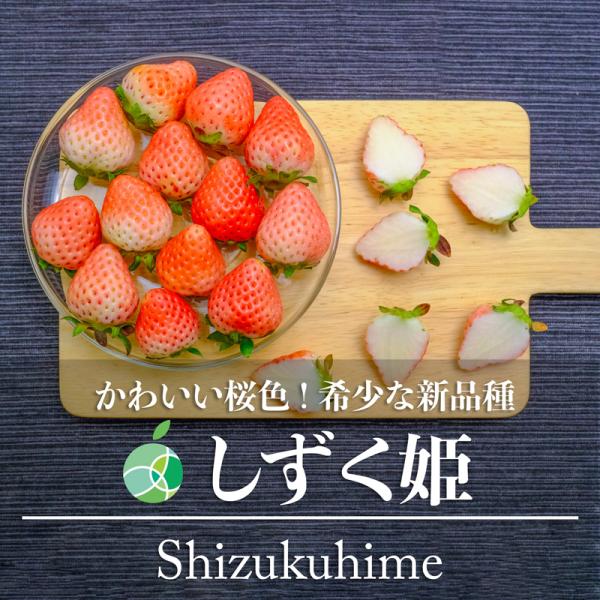 しずく姫は「ガーデンはなのみ」のオリジナル品種で、まだ栽培数が少なく市場にもあまり出回っていない希少な白いちごです。果肉の色はかわいらしい桜色で、その断面はなんと真っ白！しずく姫を生産している「ガーデンはなのみ」は「人にやさしいものづくり」...