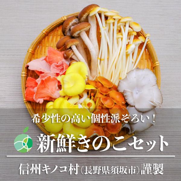 長野県須坂市の山と川に恵まれた自然豊かな菅平高原のふもとで、おいしい空気を吸ってのびやかに成長したきのこのセットです。かさが大きく1本1本がしっかりとした歯ごたえの甘シャキ味えのき(約130g)・野生種えのき(約70g)、クセがなくボリュー...