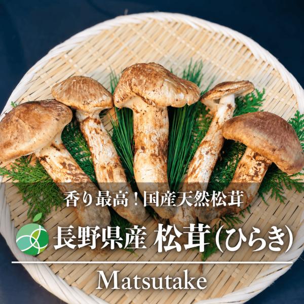 長野県産の国産天然松茸を、傘が開いた「ひらき」の状態でお届けします。焼き松茸、松茸ご飯、土瓶蒸し、お吸い物など、秋の香りを楽しむお料理におすすめです。内容量は約200g。サイズ・本数はおまかせとなり、大きめ・小ぶりのものが入る場合がございま...
