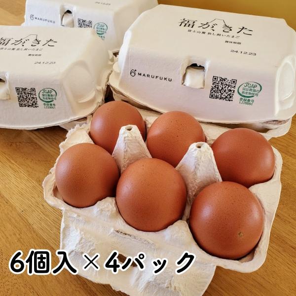 美味しい卵作りがしたい一心に、こだわって誕生したのが、放し飼い卵「福が、きた」です。富士山麓で、鶏が最も自由な環境で暮らせる放し飼いの育て方を行なっています。鶏本来の習性を活かせる鶏舎は、衛生的にも優れ、最も基準の優れたヨーロッパスタイルで...