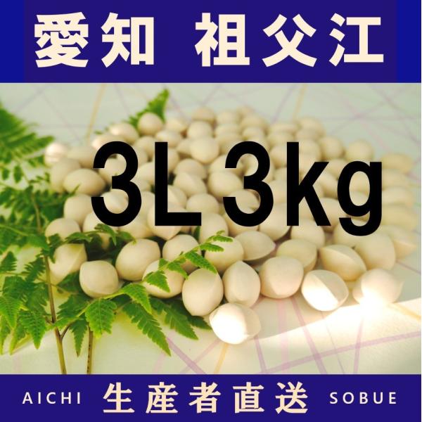 【発売日：2023年08月31日】【農園紹介】当園は愛知県稲沢市祖父江と一宮市南西部で、銀杏農園を70年以上営んでいます当園の銀杏は、京都の料亭様にも卸させて頂いています当園の銀杏は、収穫後、翌日には商品の状態にして、乾燥作業終了後、すぐ出...