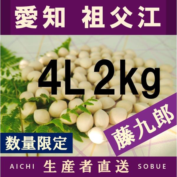【発売日：2026年09月22日】【農園紹介】当園は愛知県稲沢市祖父江と一宮市南西部で、銀杏農園を70年余り営んでいます当園の銀杏は、京都の料亭様にも卸させて頂いています質と新鮮さは、こだわつて生産出荷しています！¨料亭品質¨の銀杏をお届け...