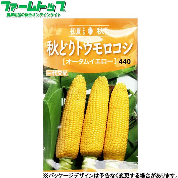 当店小売部門で20年以上の取扱い実績のある種です!　多くの販売実績が有る安心の商品です。■　商品特徴、蒔き方、産地は画像をご覧ください。　　