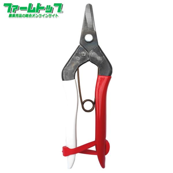 プロが認めた野菜の収穫や果樹の収穫用鋏です!収穫物に傷を付けない様、刃先が反っております！最高級刃物鋼を材料とし、刃持ちと切れ味を発揮します!作業性の良いバネ式です。用途 みかん・柿・野菜の収穫などに 全長： 162ｍｍ 質量： 100ｇ ...