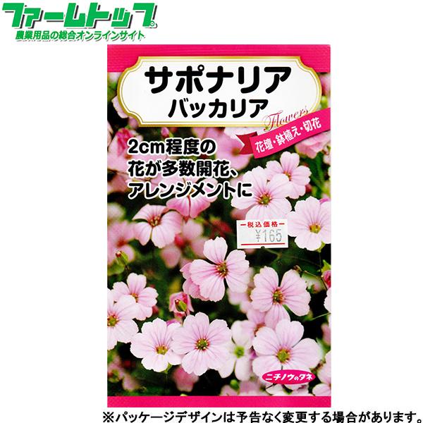 当店小売部門で20年以上の取扱い実績のある種です!　多くの販売実績が有る安心の商品です。■　商品特徴、蒔き方、産地は画像をご覧ください。　　