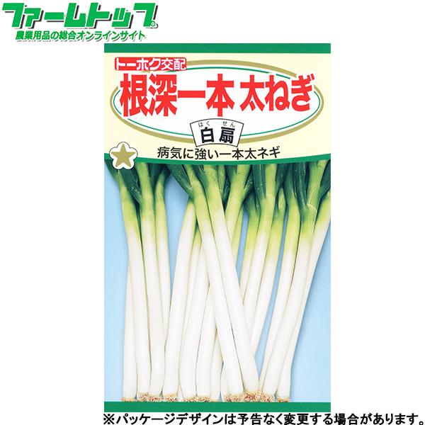 当店小売部門で20年以上の取扱い実績のある種です!　多くの販売実績が有る安心の商品です。■　商品特徴、蒔き方、産地は画像をご覧ください。　　