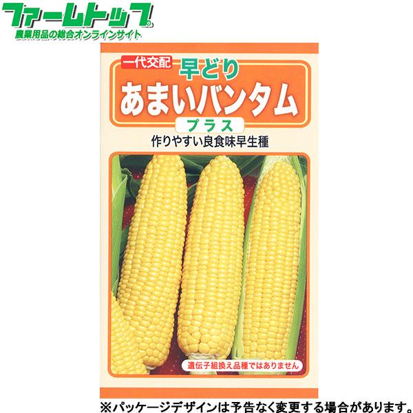 当店小売部門で20年以上の取扱い実績のある種です!　多くの販売実績が有る安心の商品です。■　商品特徴、蒔き方、産地は画像をご覧ください。　　