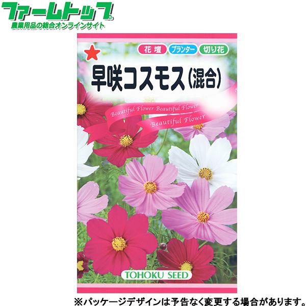 当店小売部門で20年以上の取扱い実績のある種です!　多くの販売実績が有る安心の商品です。■　商品特徴、蒔き方、産地は画像をご覧ください。　　