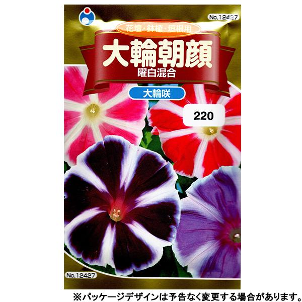 当店小売部門で20年以上の取扱い実績のある種です!　多くの販売実績が有る安心の商品です。■　商品特徴、蒔き方、産地は画像をご覧ください。　　