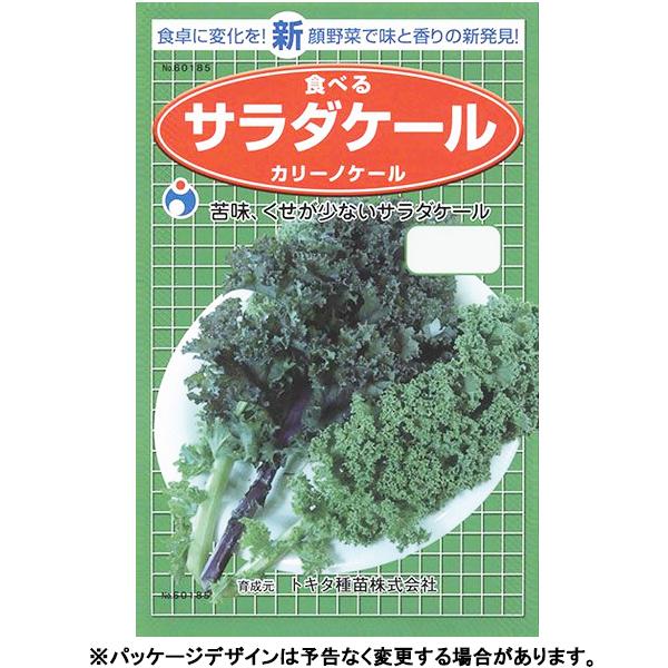 当店小売部門で20年以上の取扱い実績のある種です!　多くの販売実績が有る安心の商品です。■　商品特徴、蒔き方、産地は画像をご覧ください。　　