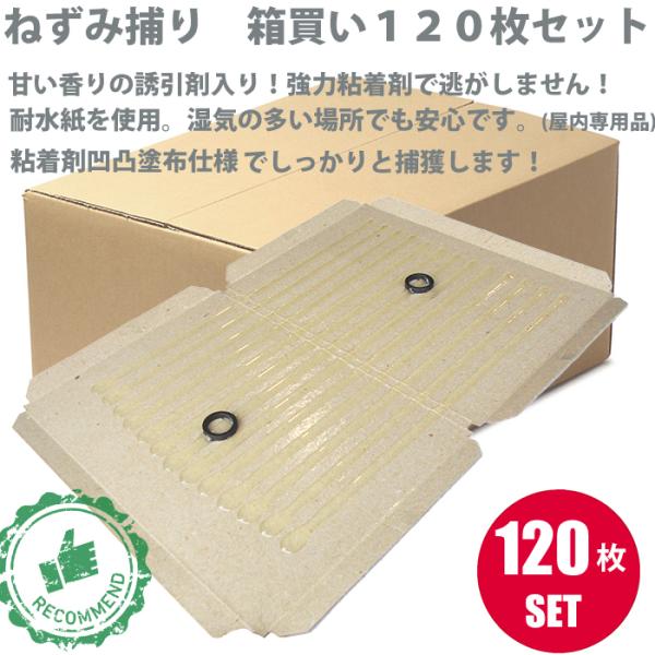 ■あま〜い香りの誘引剤入りで誘ってしっかり捕獲します！■凹凸塗布で捕獲力アップ！裏面にスリットが入っており、狭い場所にも曲げて設置出来ます！■耐水紙使用で湿気の多い場所にも安心して設置出来ます！■薬剤を使用して無いので毒性が無く、安心してご...