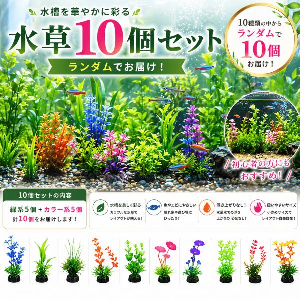 水槽を華やかに彩る水草セットです。初心者の方でも簡単にレイアウトを楽しめます。【商品内容】・水草 10個セット（ランダム）※緑系5個＋カラー系5個でバランスよくお届けします【特徴】・そのまま水槽に入れるだけでレイアウト完成・色とりどりで見た...