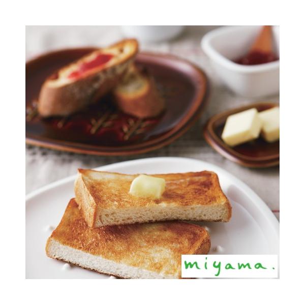 ●サクサクに焼けたトーストの美味しさをそのまま食べることができるお皿です。●プレート表面の突起がパンの湿気をにがし、サクサク感を長持ちさせます。【仕様】●サイズ:約19×18×1.8cm●素材:磁器●生産国:日本●カラー:アイボリー※電子レ...