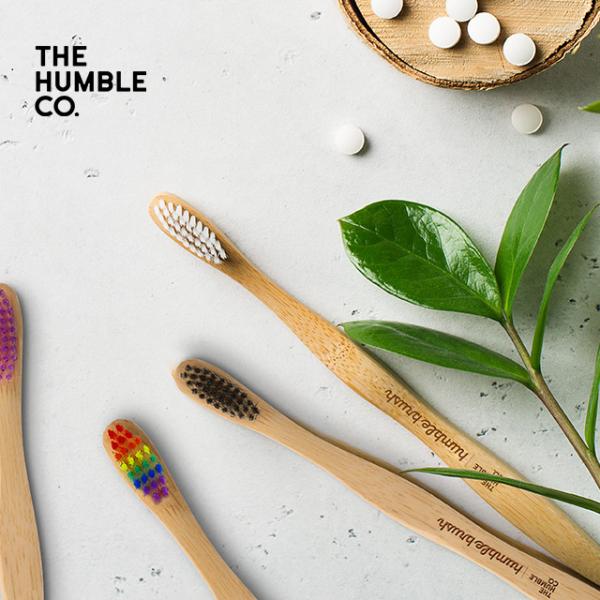 ▼カテゴリー雑貨 歯ブラシ ハブラシ はぶらし 竹製歯ブラシ 竹歯ブラシ バンブーハブラシ 衛生用品 日用品 日常品 健康 デンタルケア 口腔ケア オーラルケア ケア 洗面所用品 バス バス用品▼色ホワイト ブルー イエロー パープル ブラ...