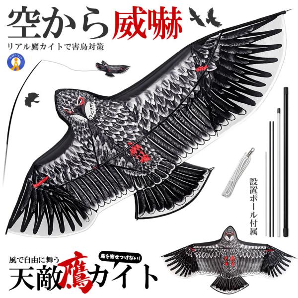 空から威嚇！リアル鷹カイトで害鳥対策！風で舞う「天敵鷹カイト」が鳥を寄せつけない。●リアルな鷹デザインの鳥よけカイト風を受けて空中を旋回し、本物の猛禽類のように飛行。ハト・カラス・スズメなどの害鳥を効果的に威嚇します。庭、果樹園、畑、農園な...