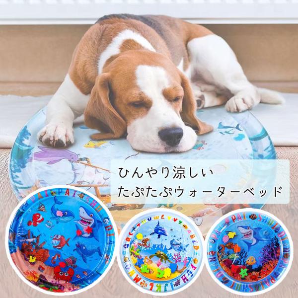 子供や赤ちゃん・犬・猫などに、濡れない水遊び、ひんやり楽しいウォーターマット。ウォーターベッドのような不思議な感覚で楽しく遊べる、濡れないプールです。空気入れポンプを一つプレゼント♪触覚と視覚を刺激するように設計されたデザインと水中のおもち...