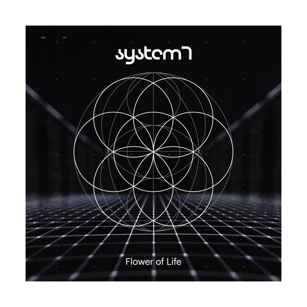 【発売日：2026年05月15日】System 7 (システムセブン しすてむせぶん)2026年5月15日 発売System 7ことSteve Hillageと Miquette Giraudyによる、2015年『X-Port』以来となる最...