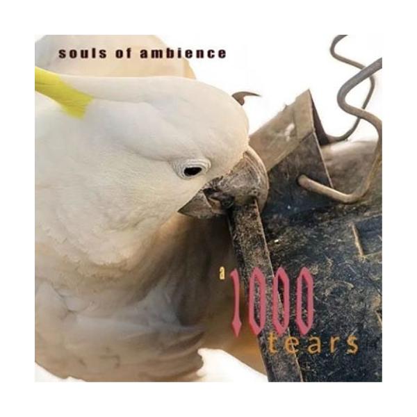 【発売日：2025年04月30日】ソウルズ・オブ・アンビエンス (ソウルズオブアンビエンス そうるずおぶあんびえんす)2025年4月30日 発売オーストラリア出身4人組プログレッシヴ・ロック・バンド、SOULS OF AMBIENCEのデビ...