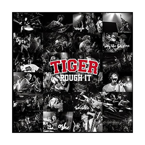 【発売日：2017年04月05日】TIGER (タイガー たいがー)2017年4月5日 発売CD:11.GO FUCK YOURSELF -INTRO-2.O.L.T.P feat RYZ(Gates Of Hopeless)3.ESSEN...