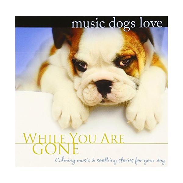 【発売日：2010年12月22日】ブラッドリー・ジョセフ (ジョセフ ブラッドリー じょせふ ぶらっどりー)2010年12月22日 発売