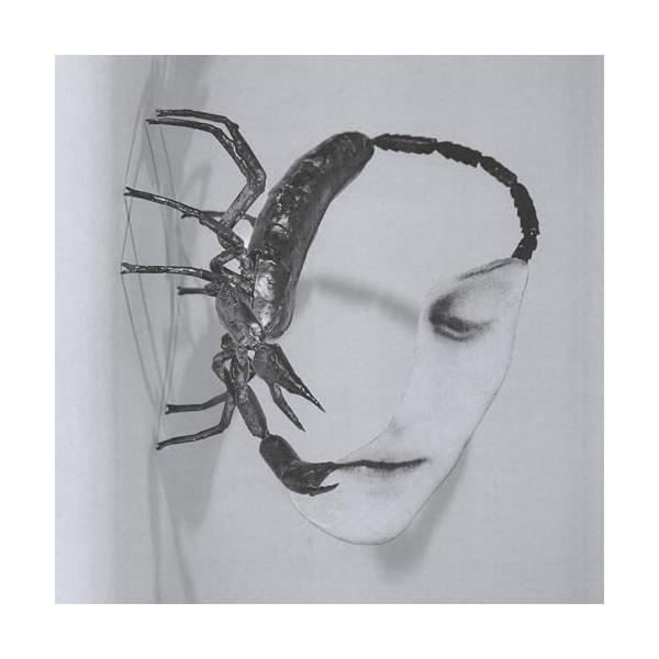 【発売日：2025年11月05日】Tortoise (トータス とーたす)2025年11月5日 発売90年代からポストロックの代表格として活躍し、ジャンルを問わず多くのファンをもつインストゥルメンタルバンドのトータスから、9年ぶりの最新作が...