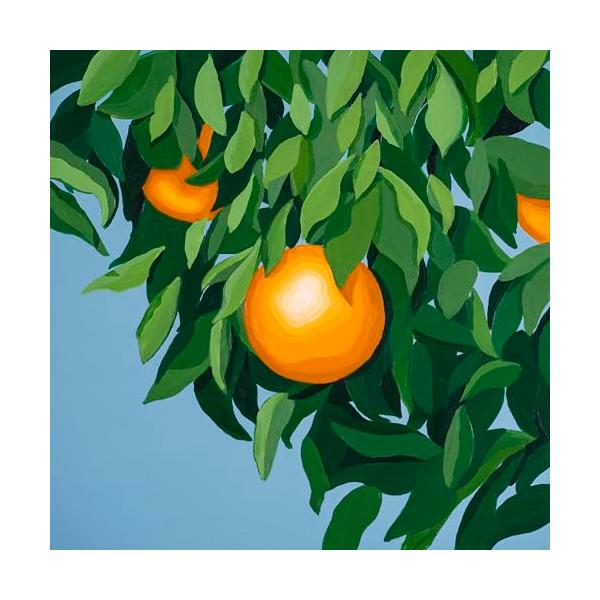 【発売日：2026年01月30日】タイラー・ボールゲーム (ボールゲーム タイラー ぼーるげーむ たいらー)2026年1月30日 発売CD:11.For the First Time, Again2.I Believe in Love3.Y...