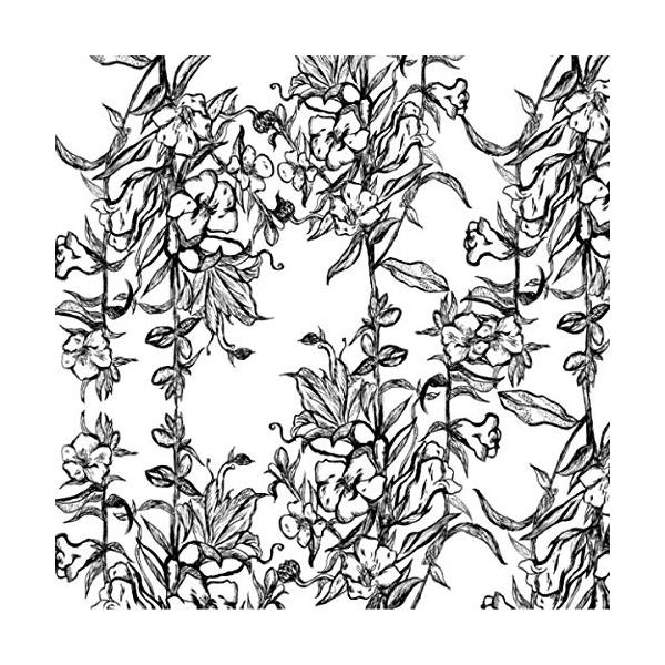 【発売日：2021年01月20日】白仁早紀 (シラニサキ しらにさき)2021年1月20日 発売トランペット白仁早紀の丸く柔らかな音色と、ピアノ滝沢ますみの作る不思議な世界観。オリジナル曲で構成された楽曲に、ベース、ストリングスも加わり、三...